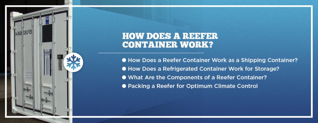 What is a Reefer Shipping Container? | Klinge Corporation