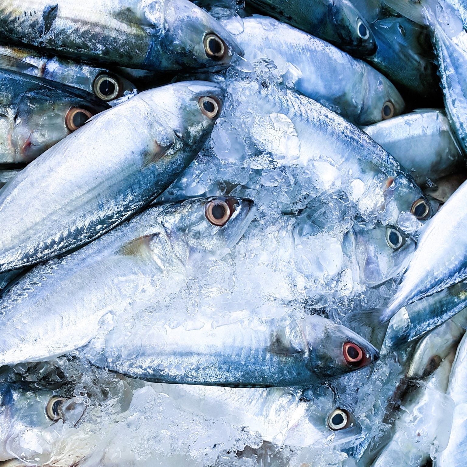 Freezer Shipping Containers | Klinge Corp